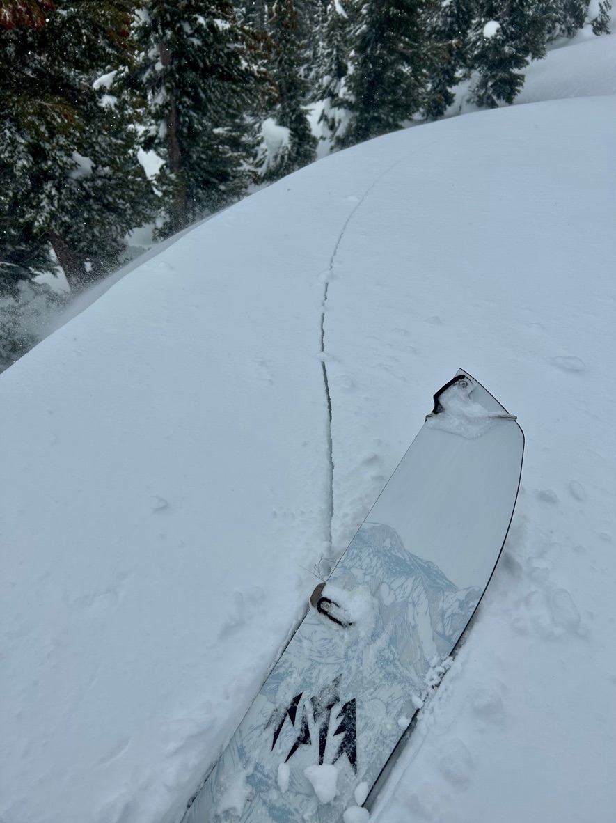 Northwest Avalanche Center - Pro Observation