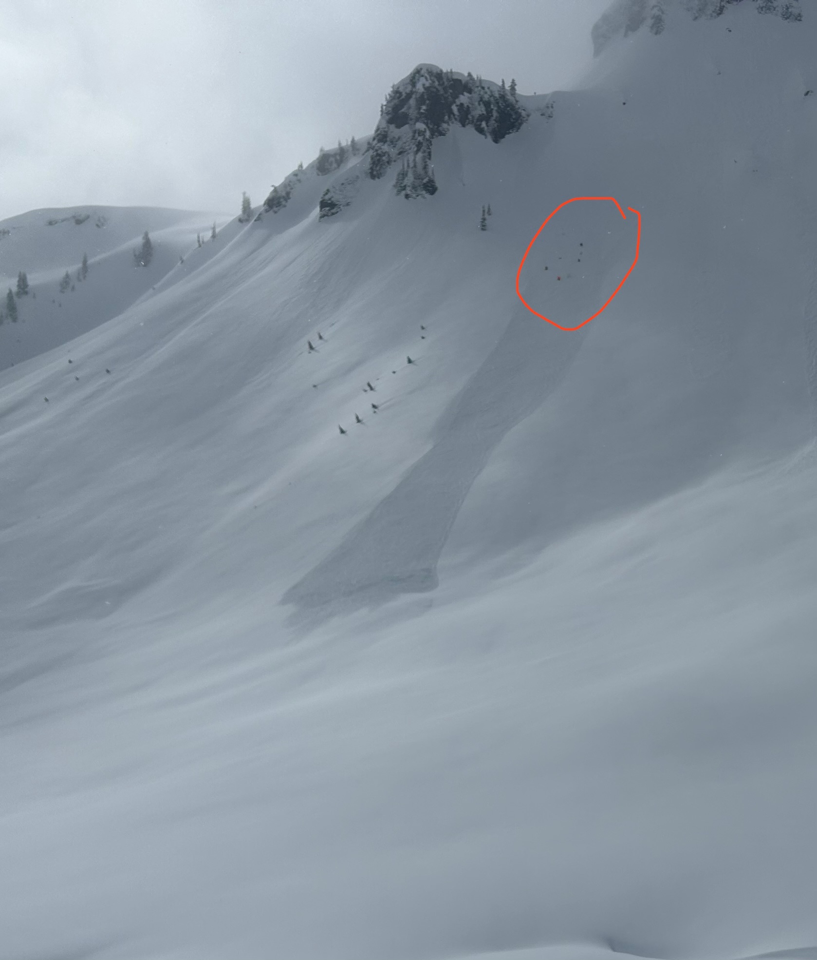Northwest Avalanche Center - Public Observation