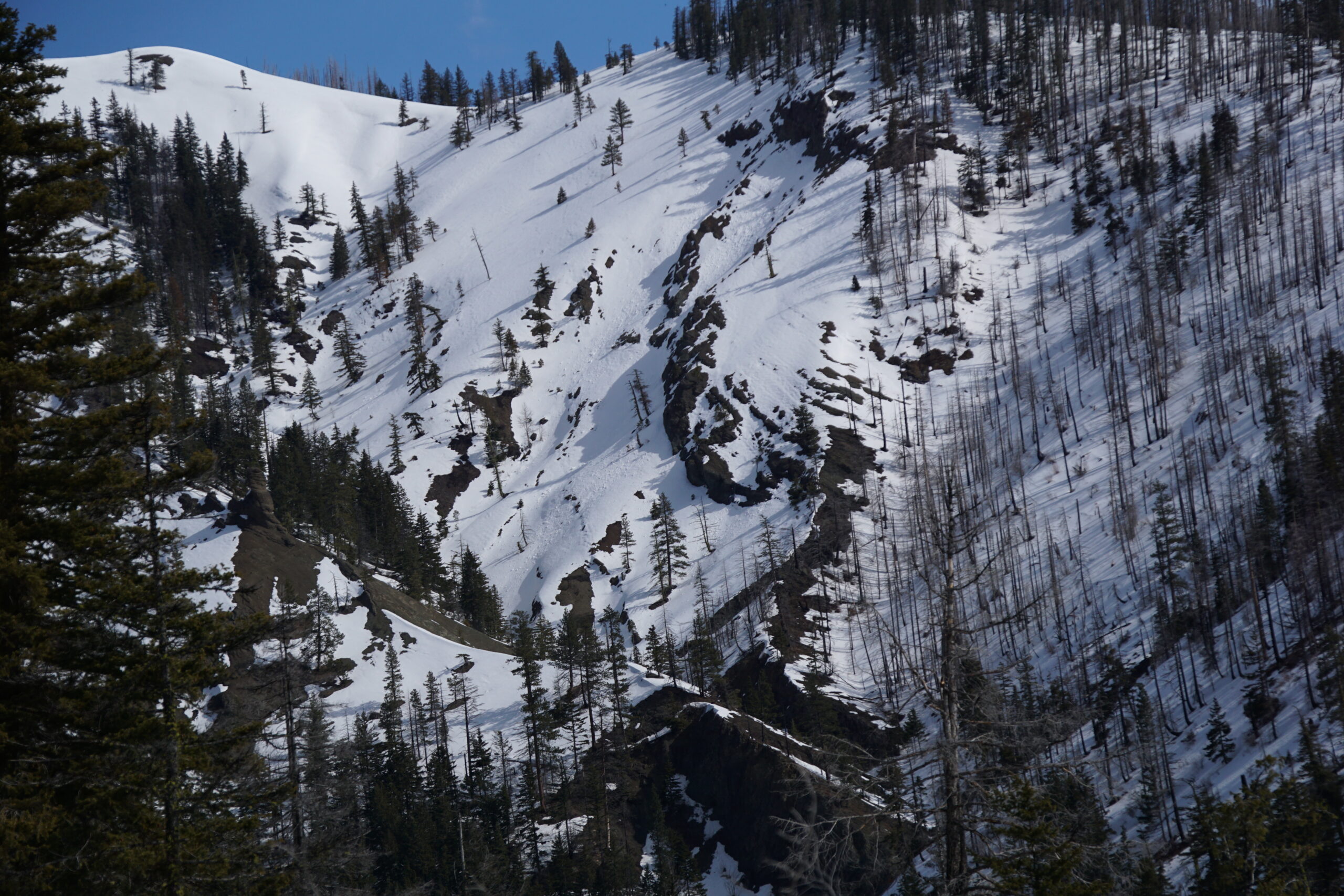 Northwest Avalanche Center - Pro Observation