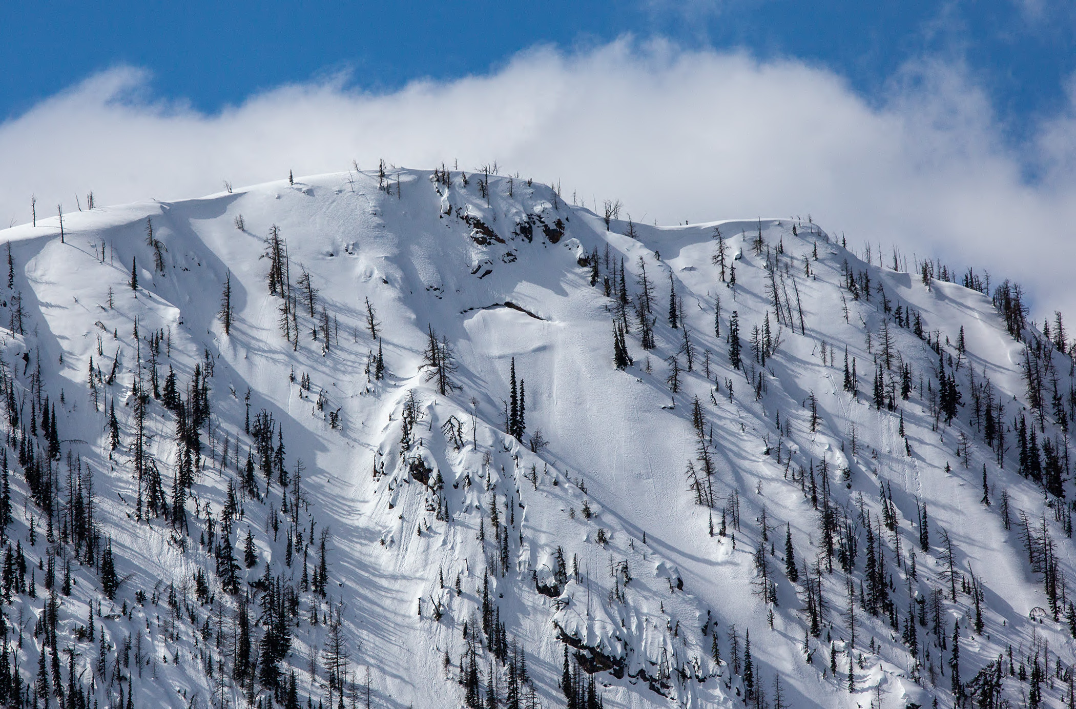 Northwest Avalanche Center - Pro Observation