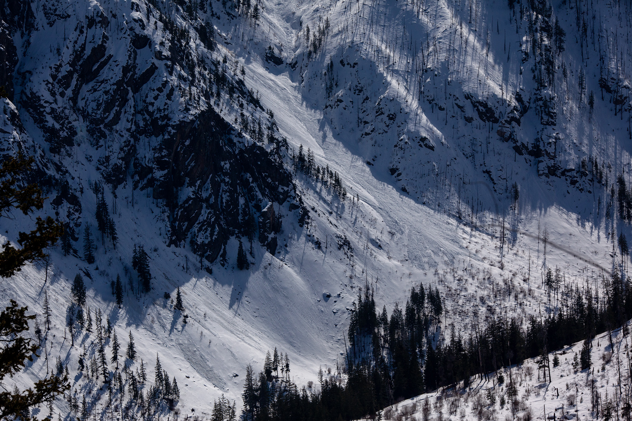 Northwest Avalanche Center - Pro Observation