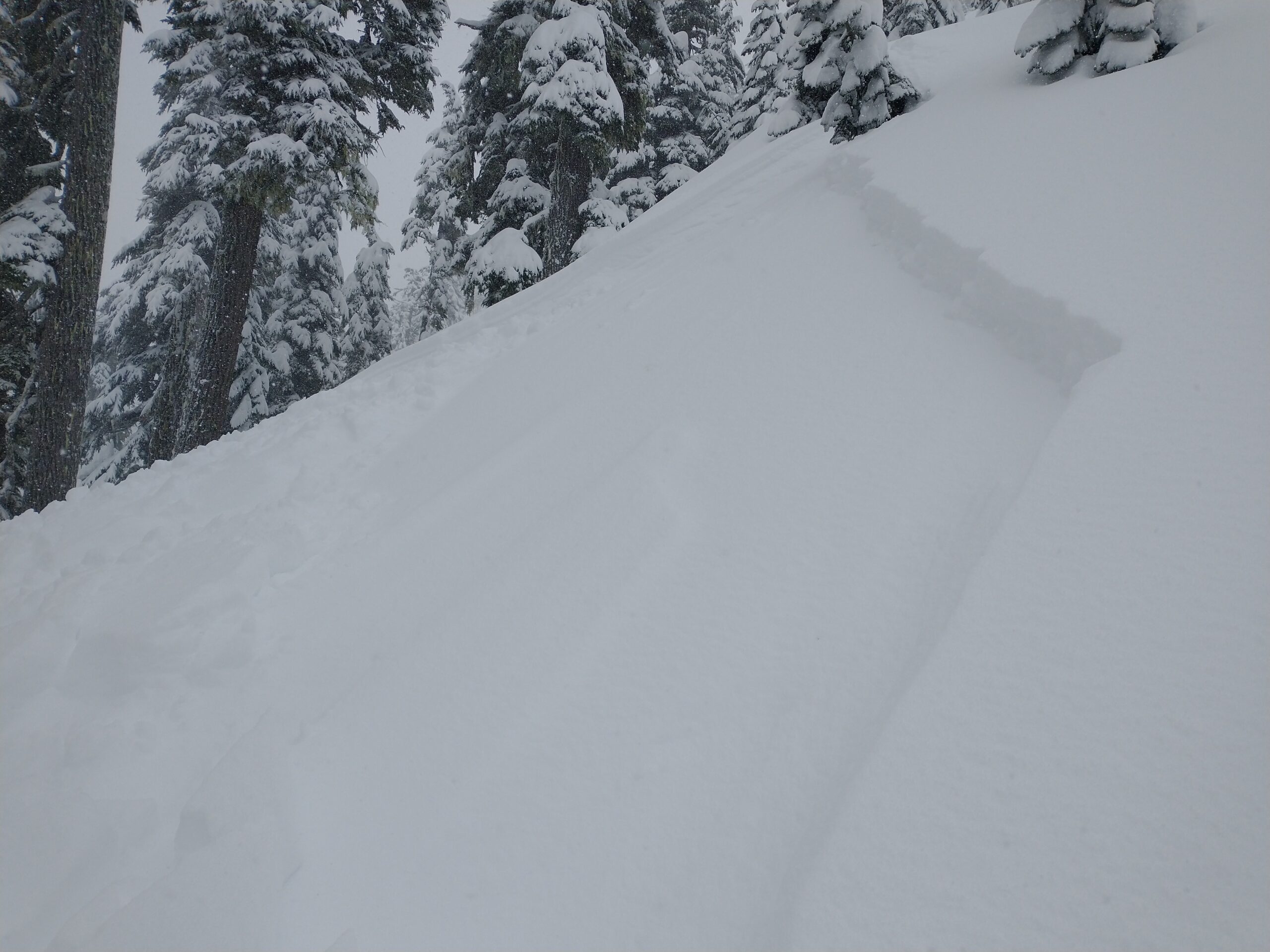 Northwest Avalanche Center - Pro Observation