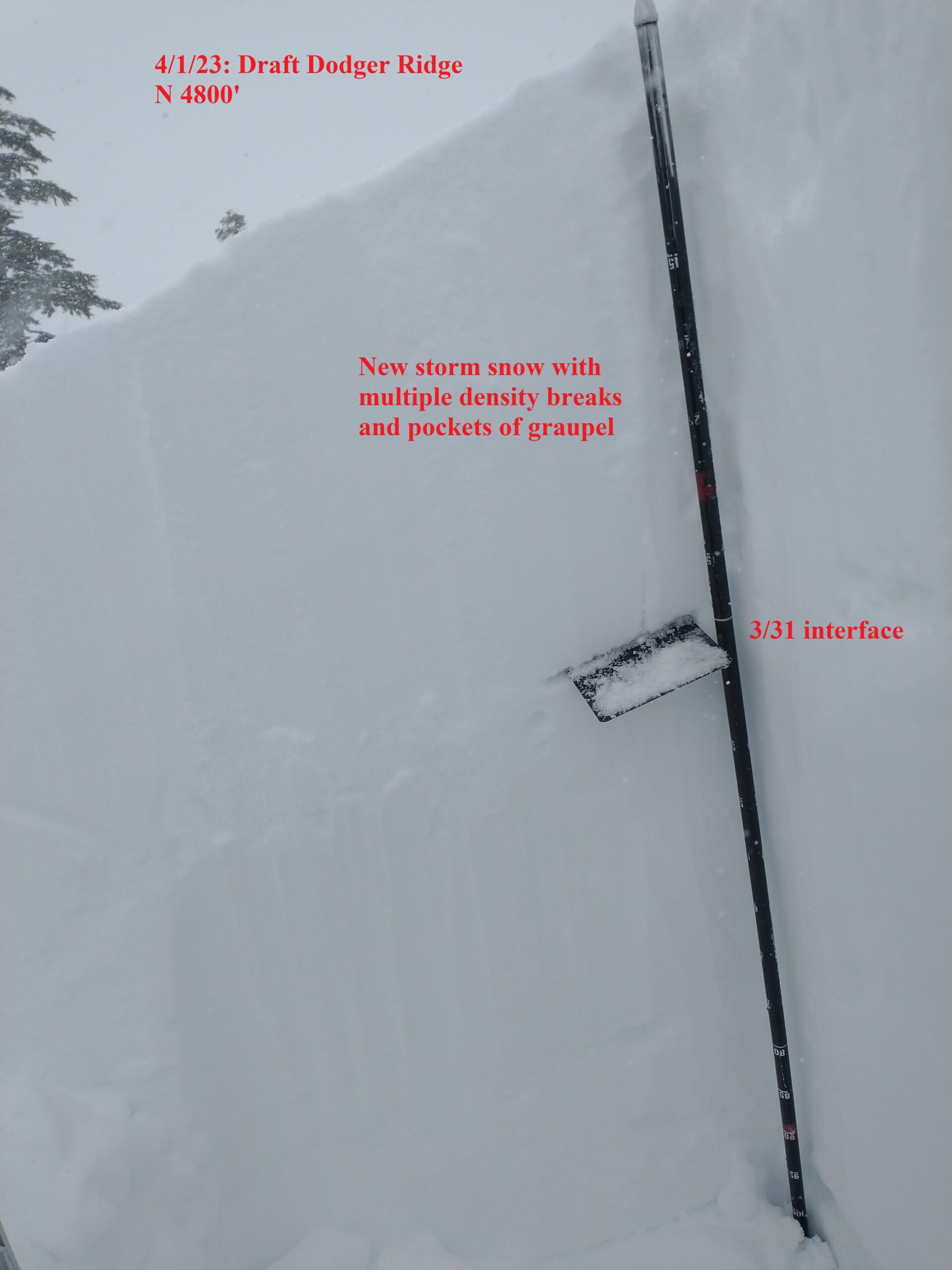 Northwest Avalanche Center - Pro Observation