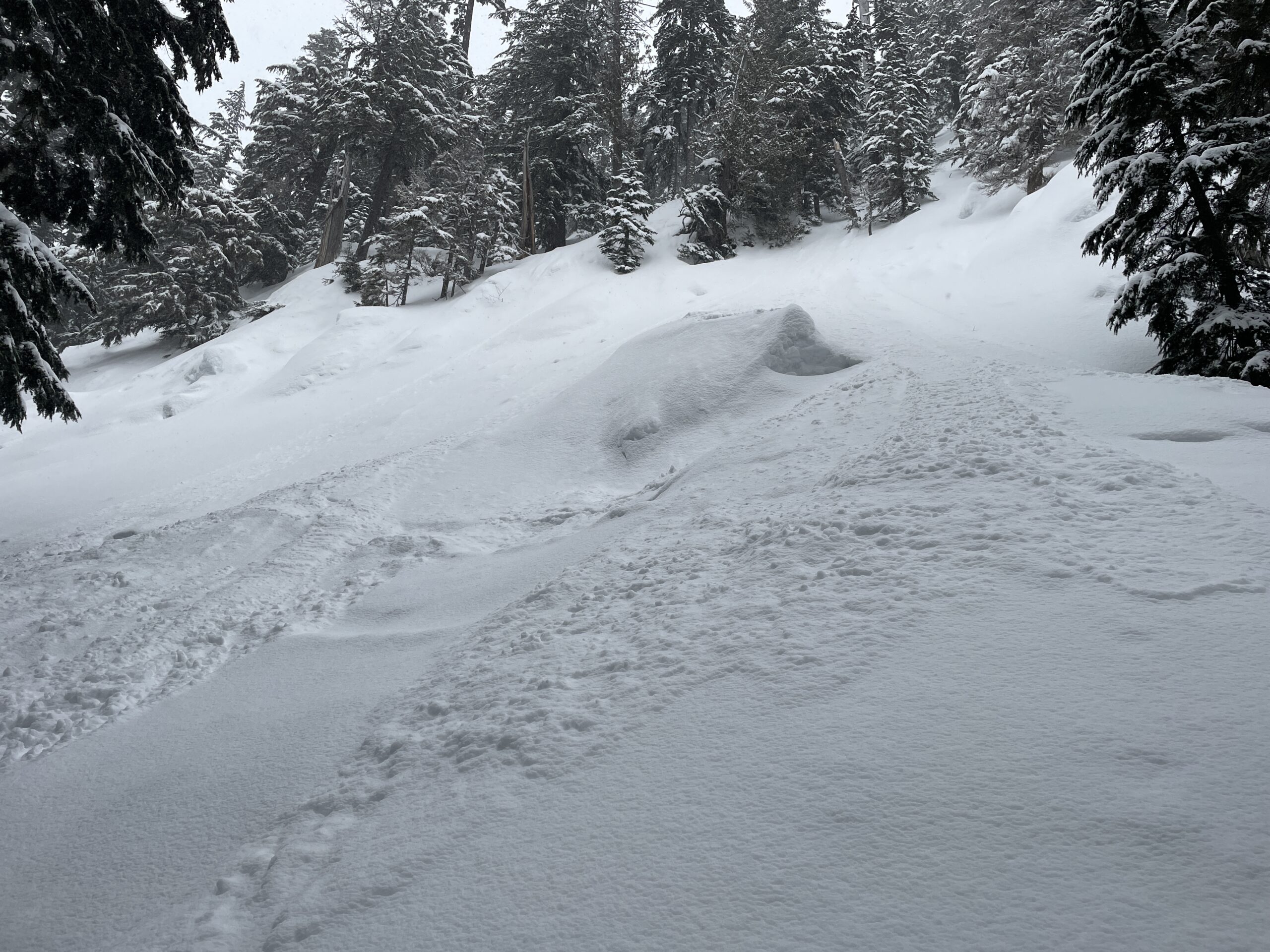 Northwest Avalanche Center - Pro Observation