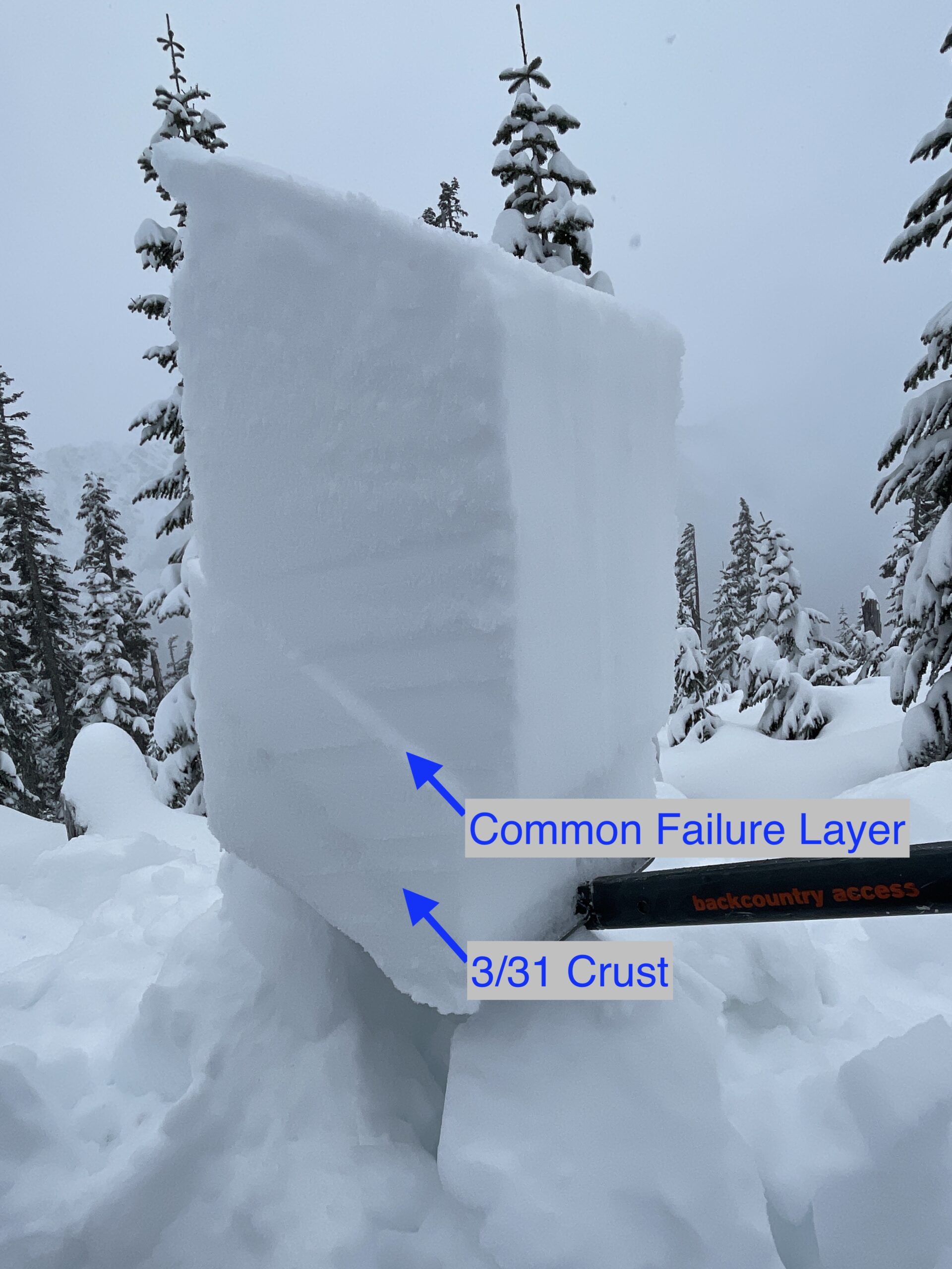 Northwest Avalanche Center - Pro Observation