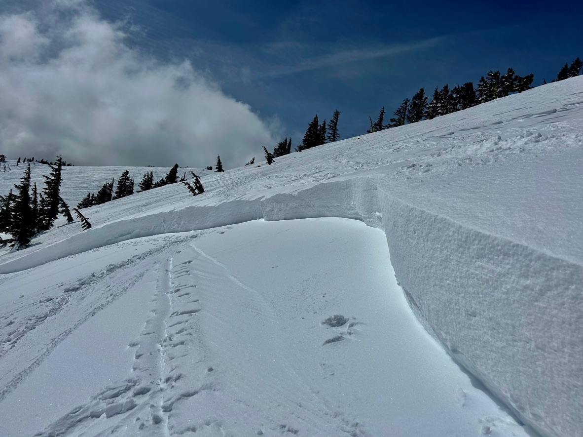 Northwest Avalanche Center - Pro Observation