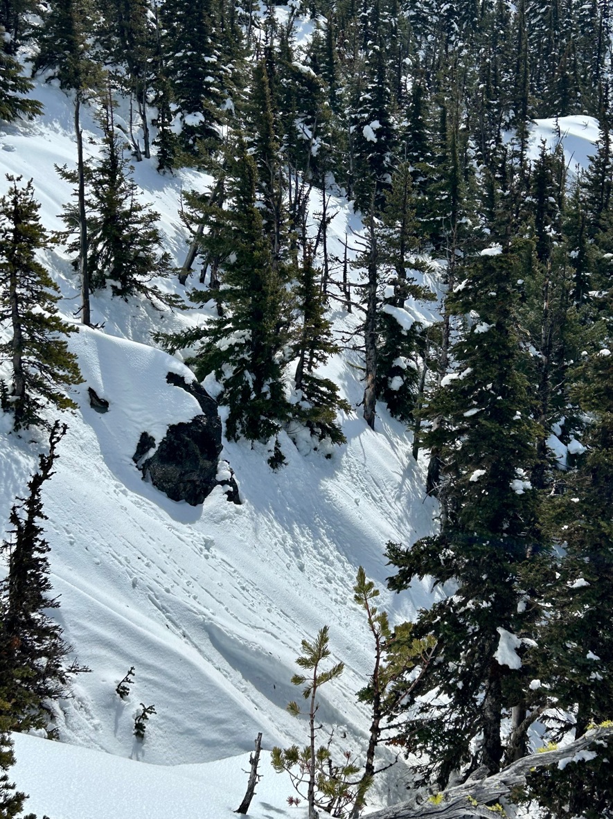Northwest Avalanche Center - Pro Observation