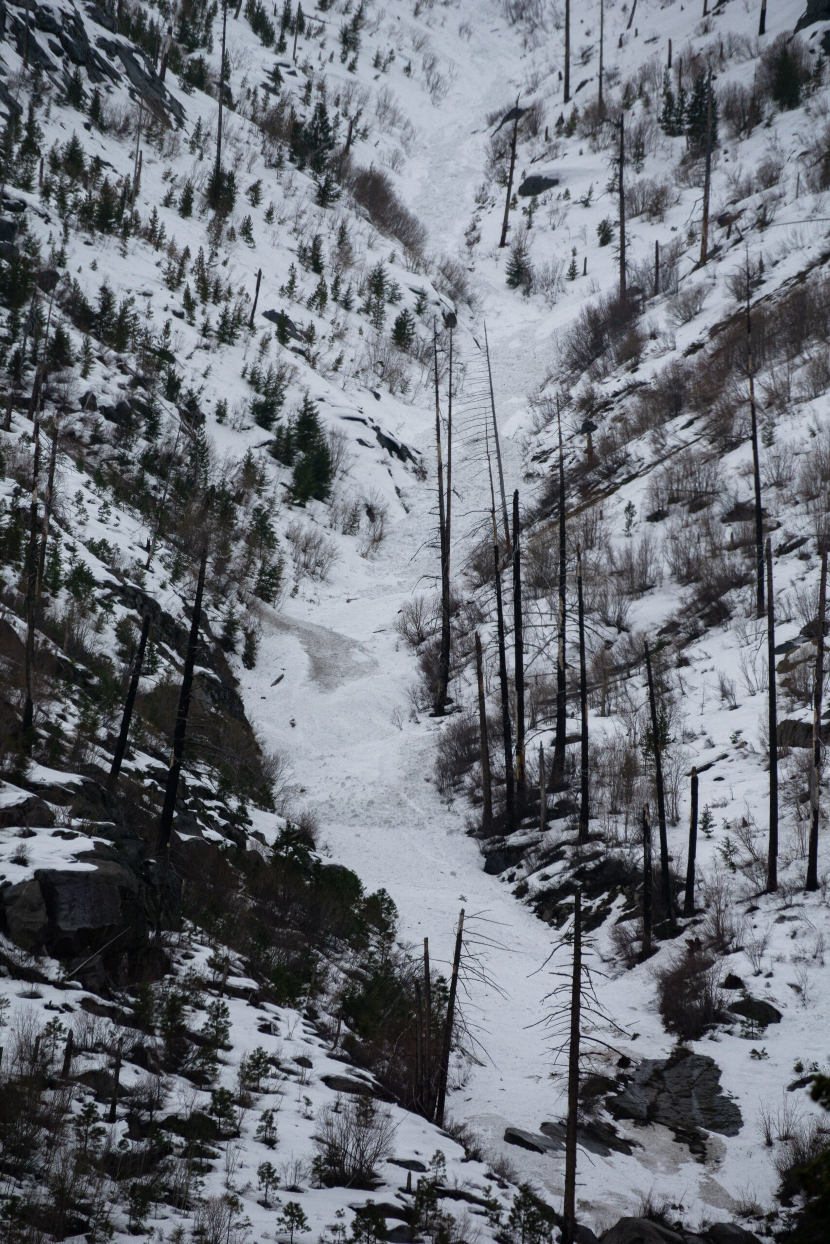 Northwest Avalanche Center - Pro Observation