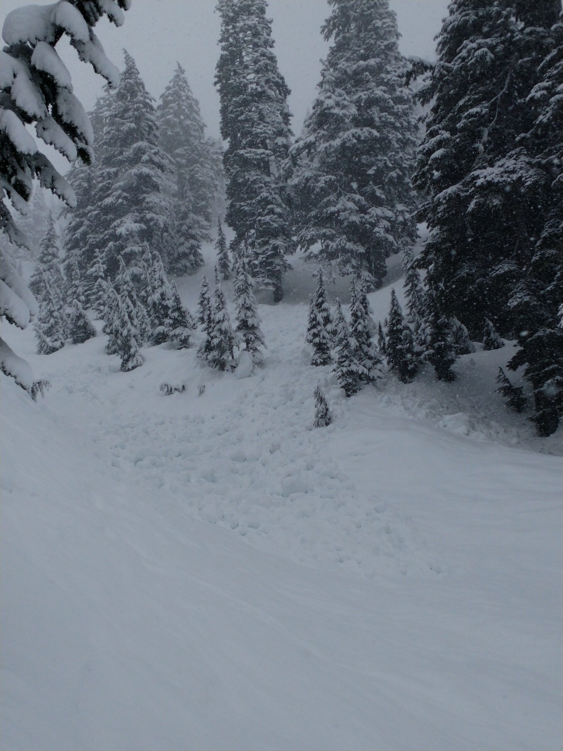 Northwest Avalanche Center - Pro Observation