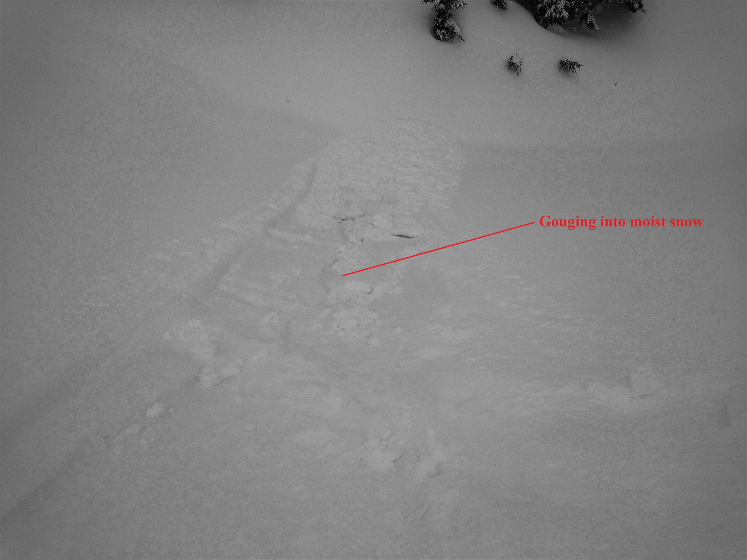 Northwest Avalanche Center - Pro Observation