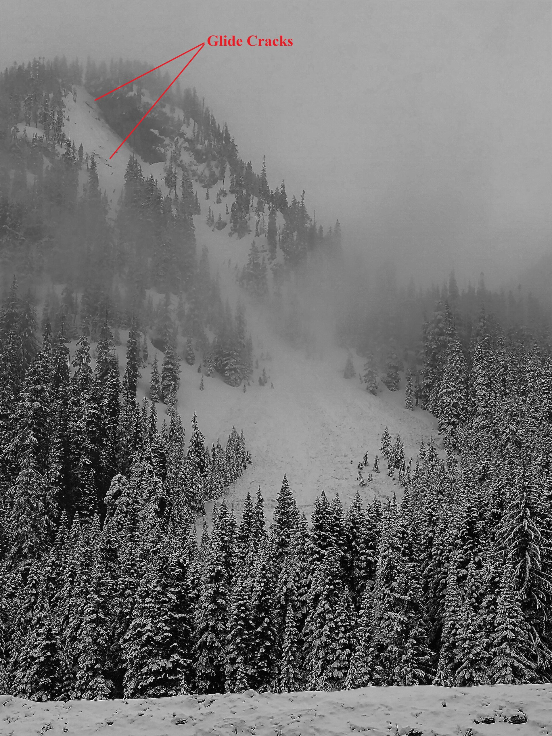 Northwest Avalanche Center - Pro Observation