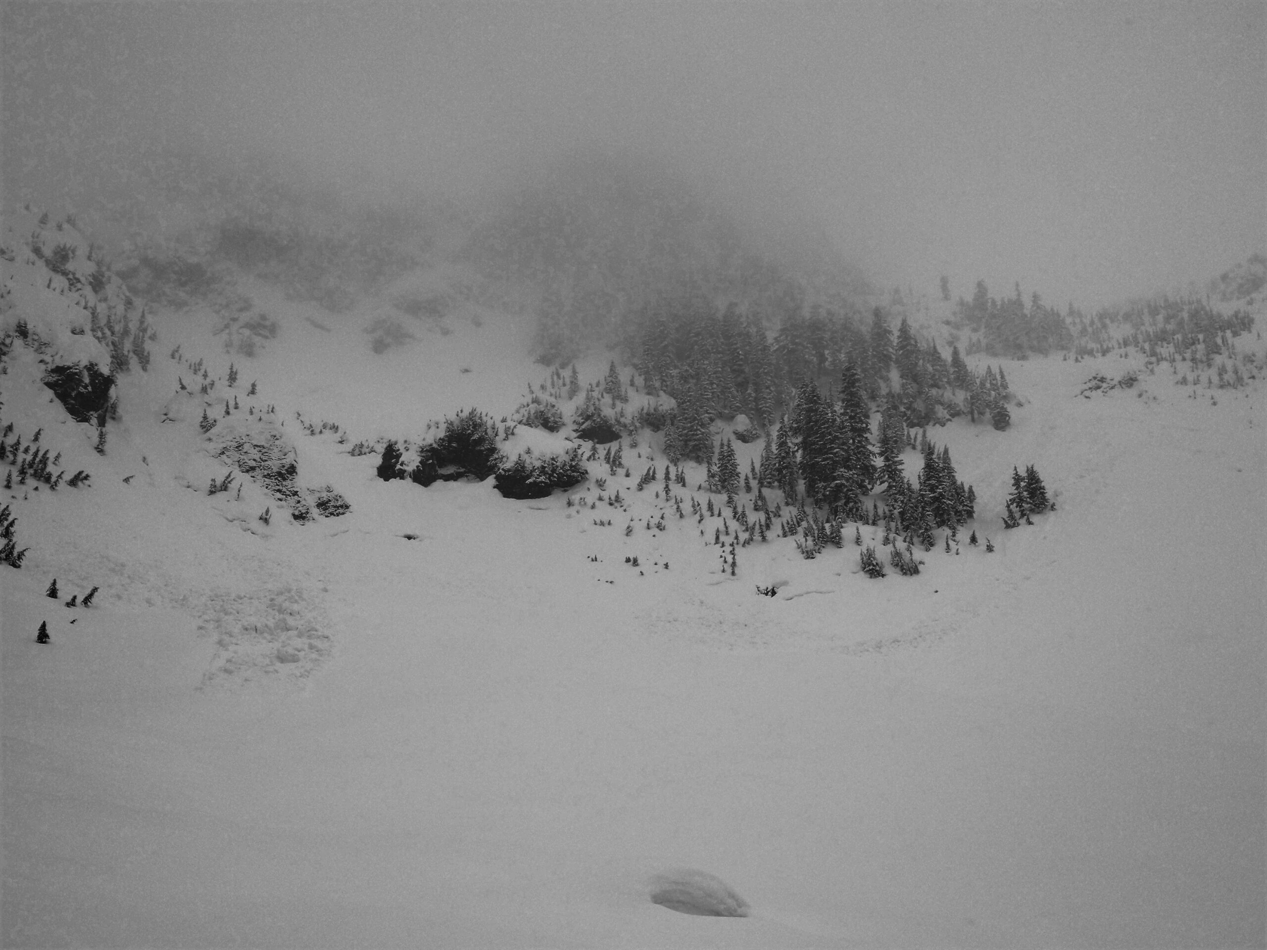 Northwest Avalanche Center - Pro Observation