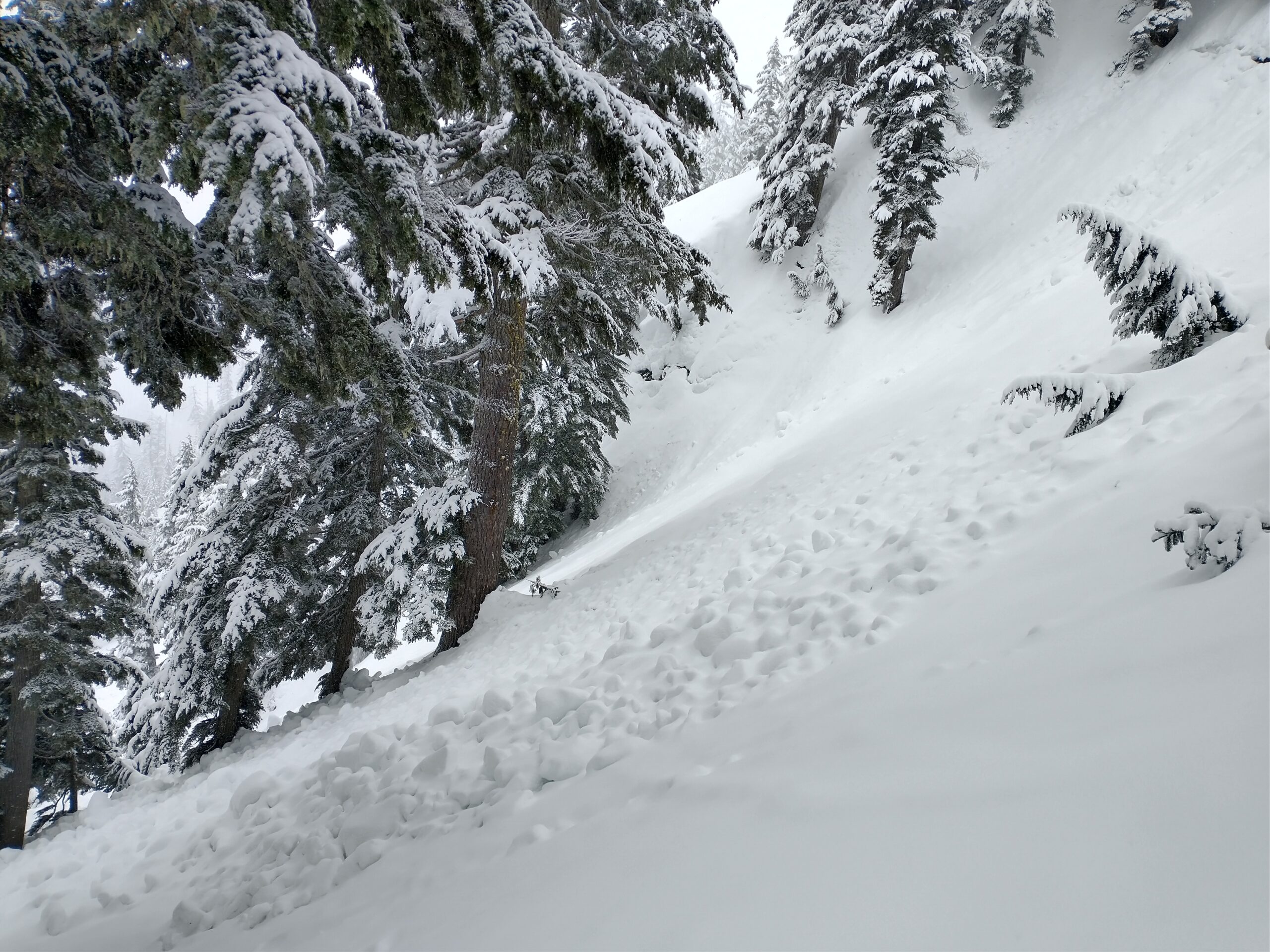 Northwest Avalanche Center - Pro Observation