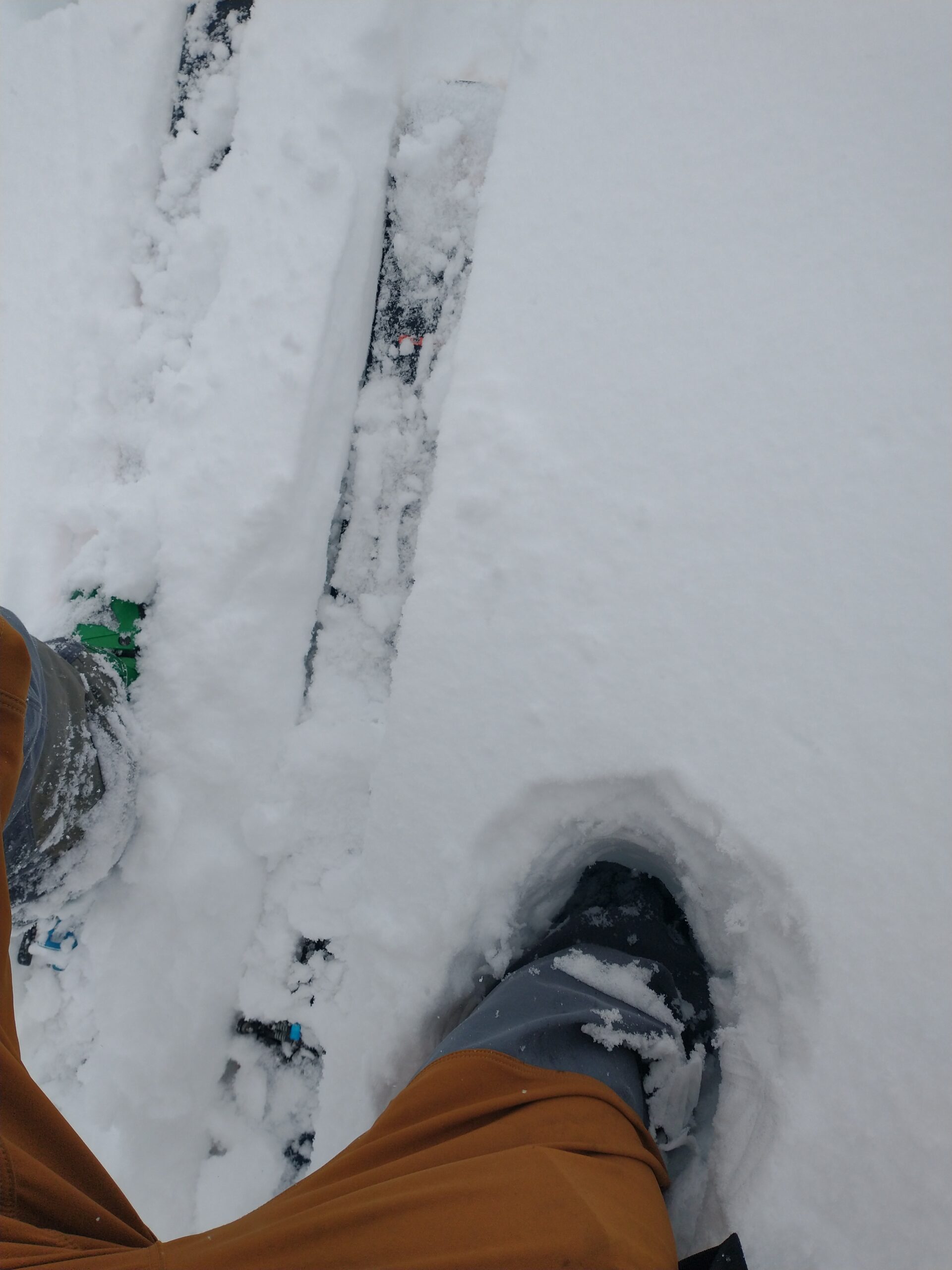 Northwest Avalanche Center - Pro Observation
