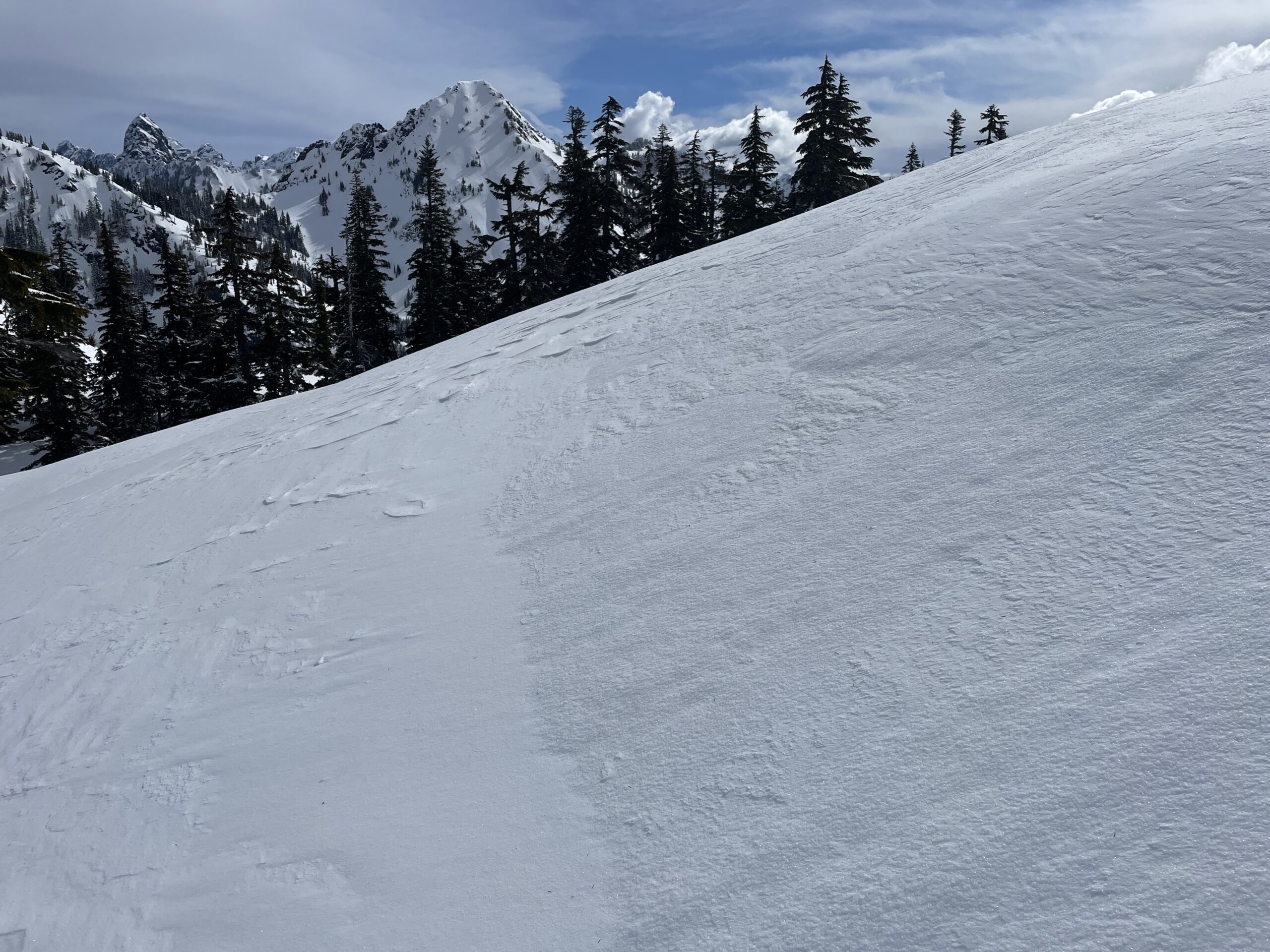 Northwest Avalanche Center - Pro Observation