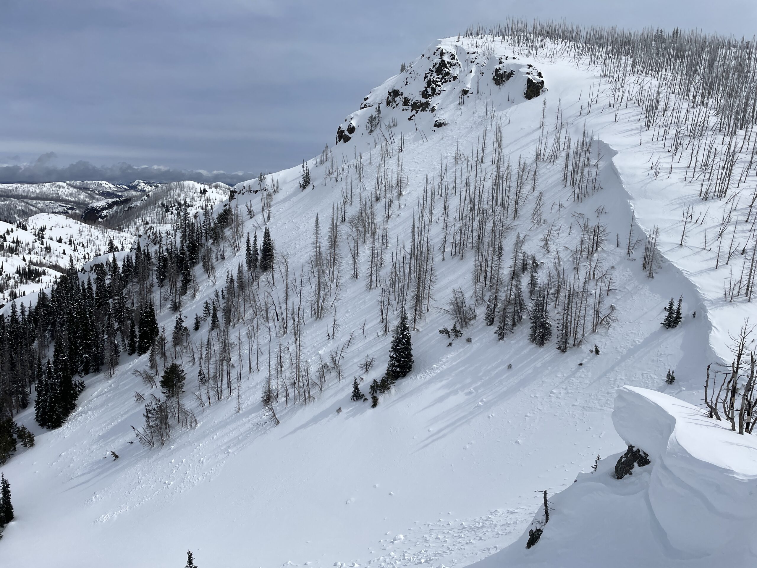 Northwest Avalanche Center - Pro Observation